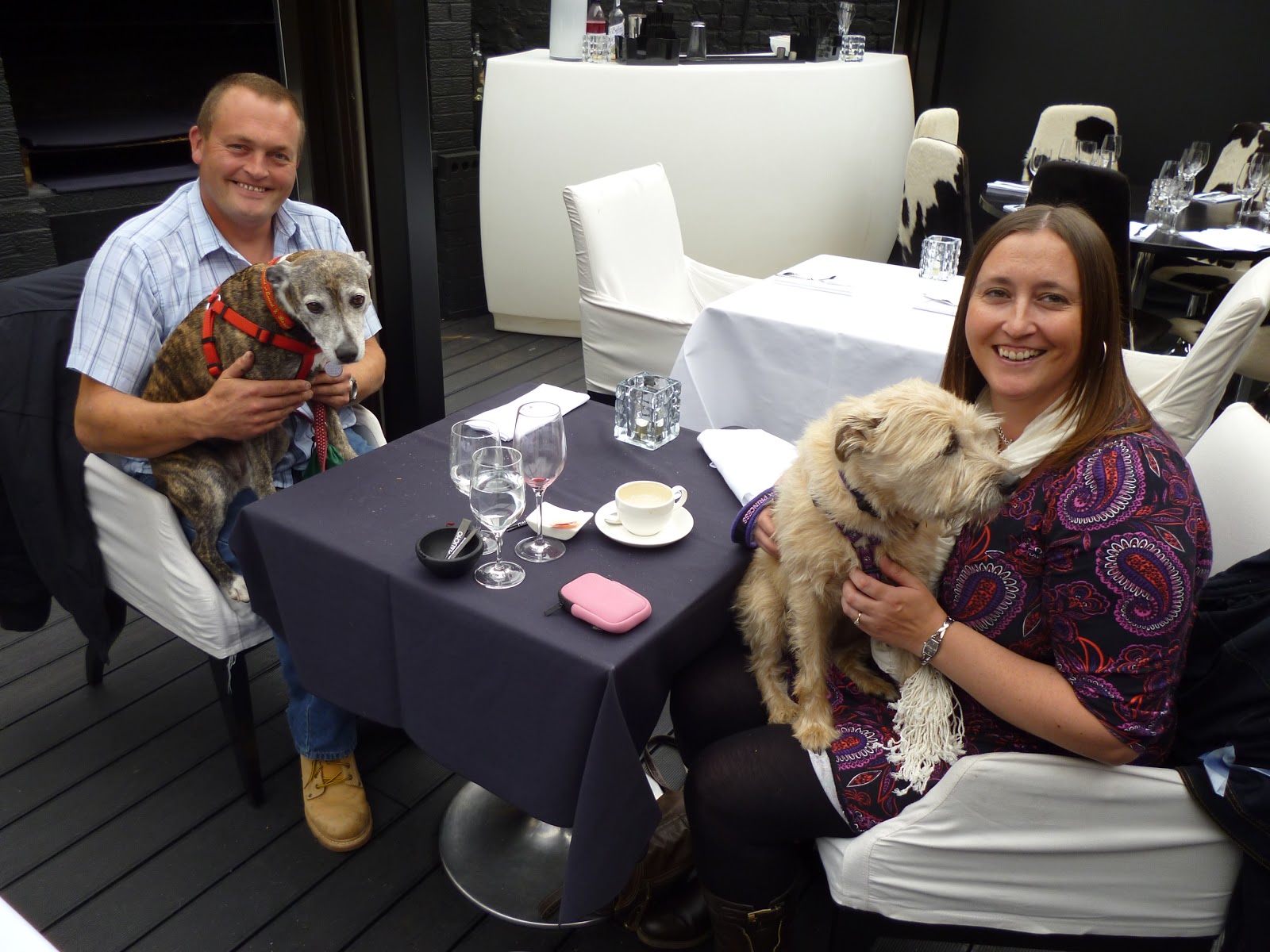 More posh dogs dinners in aid of Hounds for Heroes